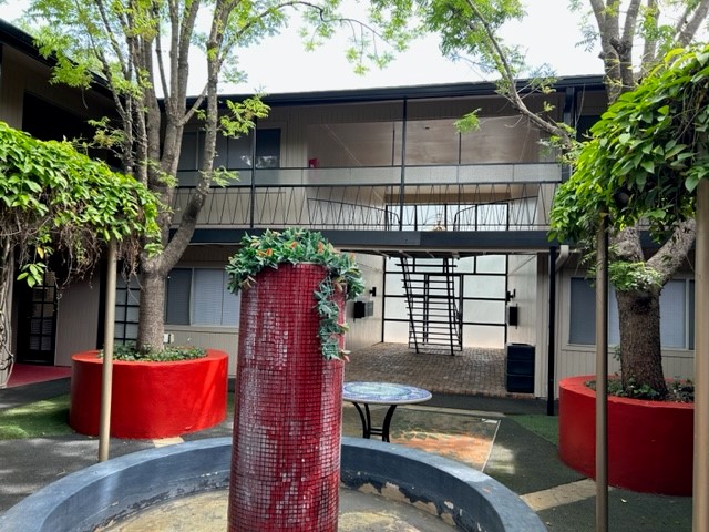 Raleigh | East Dallas Collection