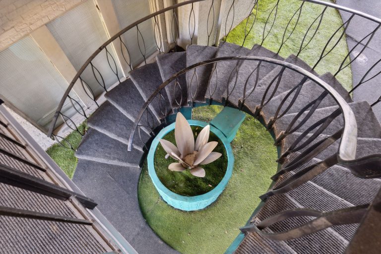 The Rich and Vibrant History of East Dallas | East Dallas Collection